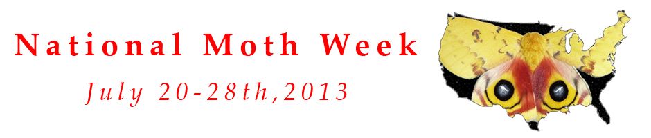 2013Logo – National Moth Week