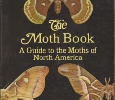 Books – National Moth Week