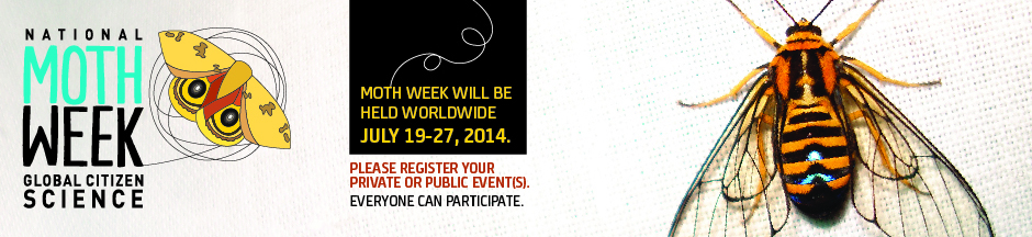 Print – National Moth Week