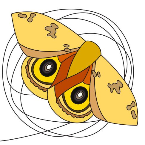 moth from logo horizontal 2015 – National Moth Week