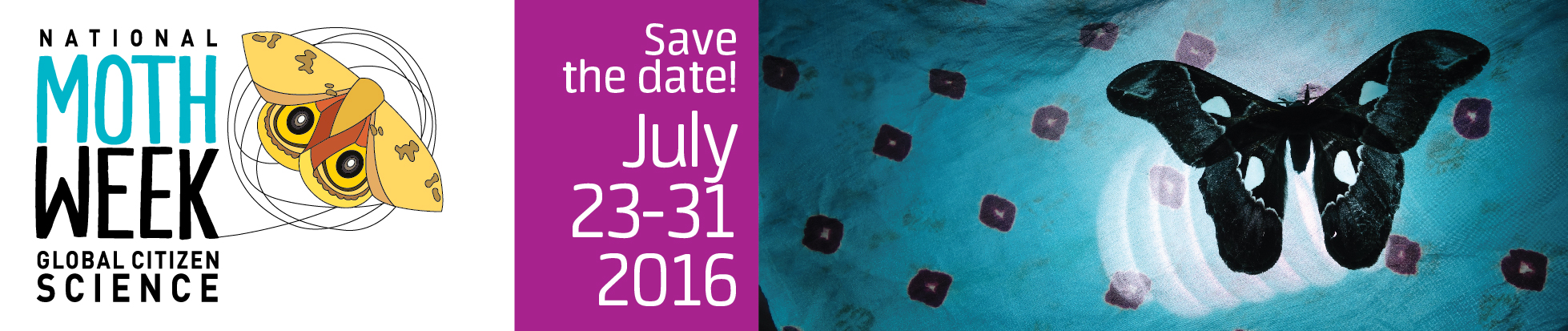 National Moth Week 2016 – National Moth Week