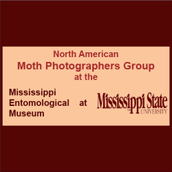 Partners | National Moth Week