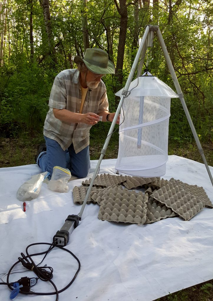 The Hamper Trap—Guest Post by Dr. Carl Barrentine – National Moth Week