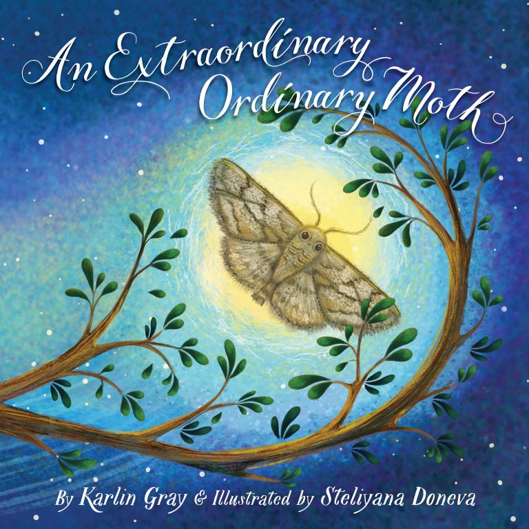 Children’s Book Shows ‘Ordinary’ Moths Can Be ‘Extraordinary ...