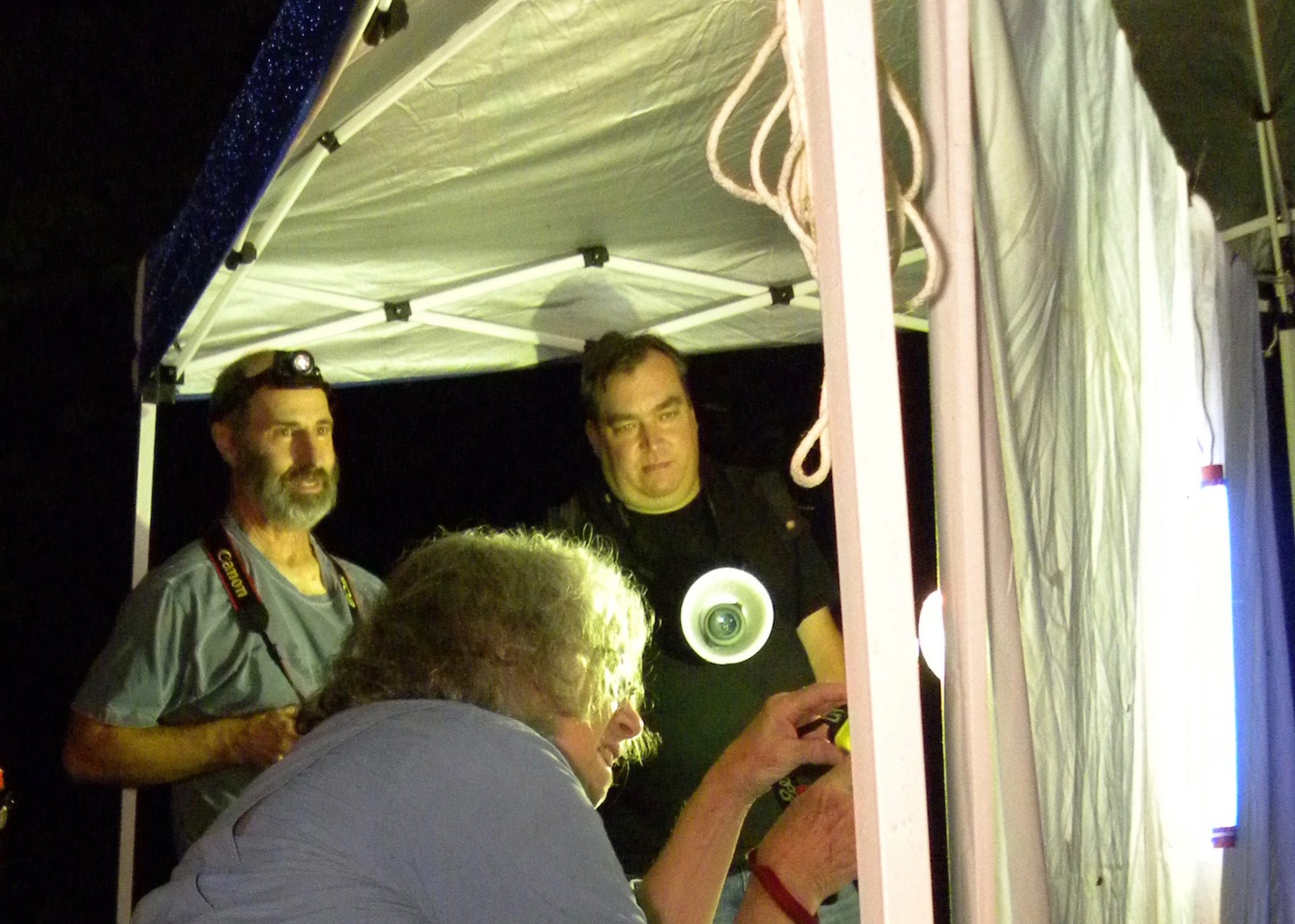 Home of the First ‘Moth Ball’ Still Flying – National Moth Week