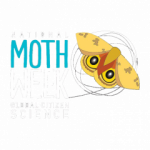 National Moth Week – Exploring Nighttime Nature