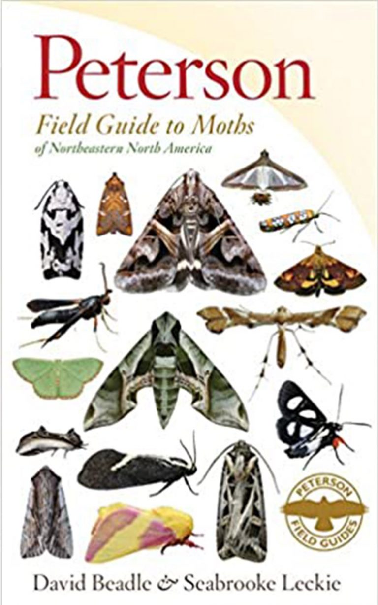 Books – National Moth Week