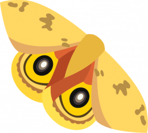 National Moth Week – Exploring Nighttime Nature