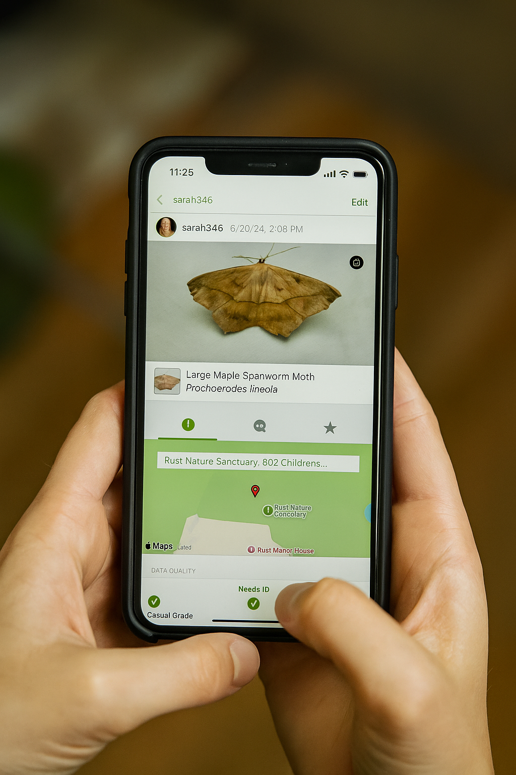 Mothing 101 – National Moth Week